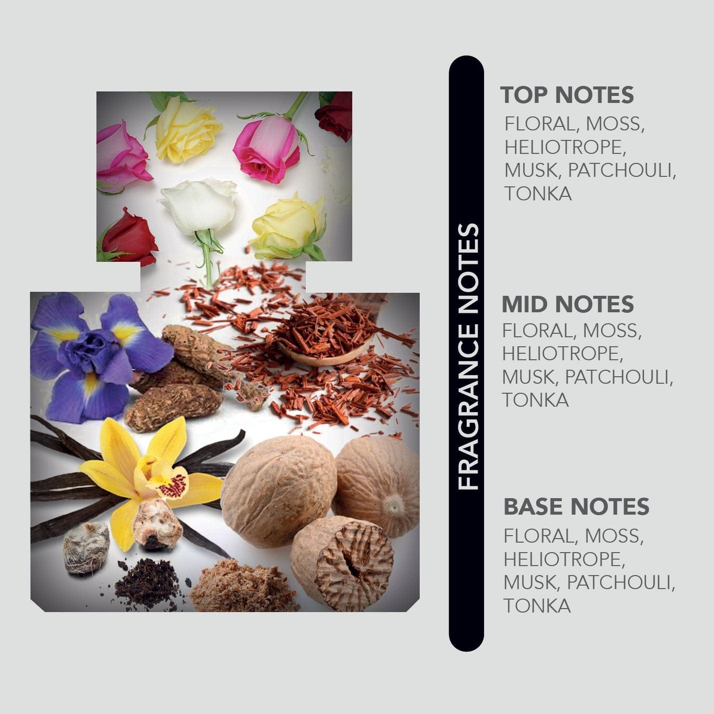 Apa de Parfum Nylaa, Oud Shadow, Barbati 100ml - eMAG.ro