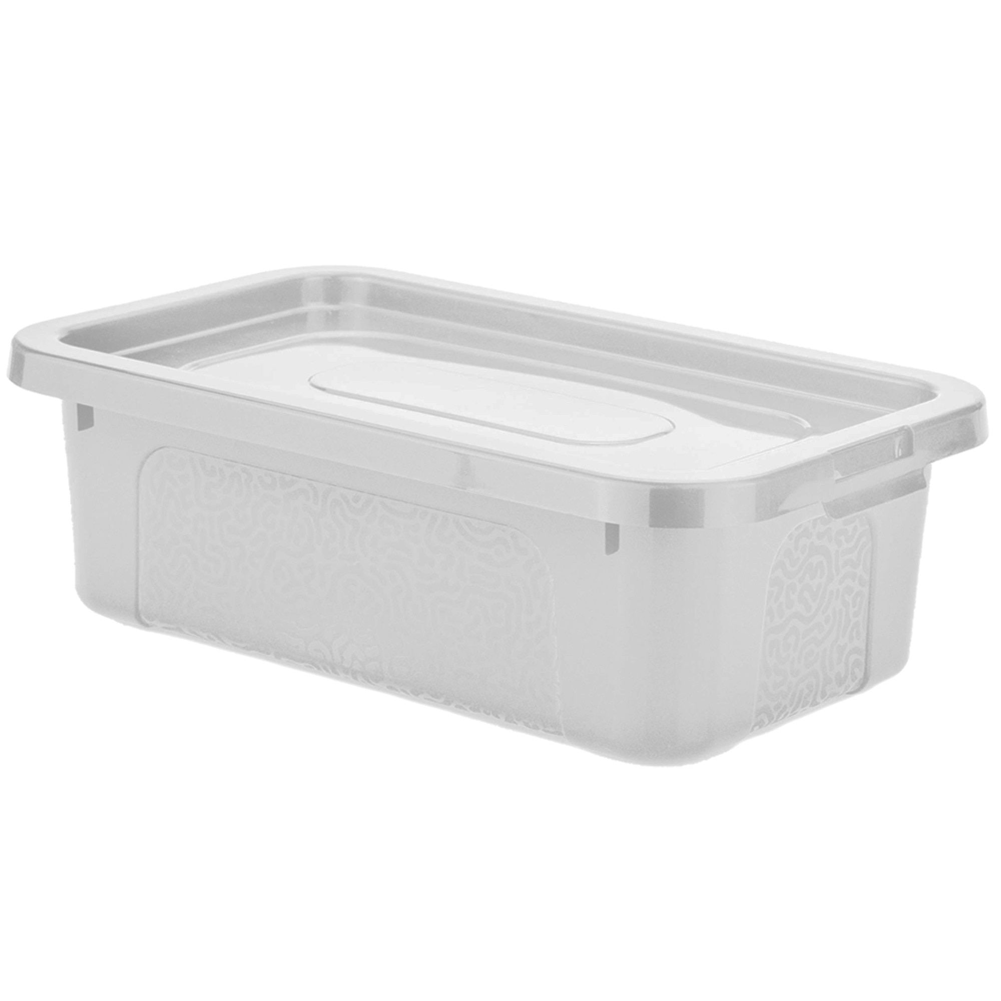Cutie De Plastic Cu Capac, Edanti, 33X20X10 Cm, 4,5 L, Transparent ...