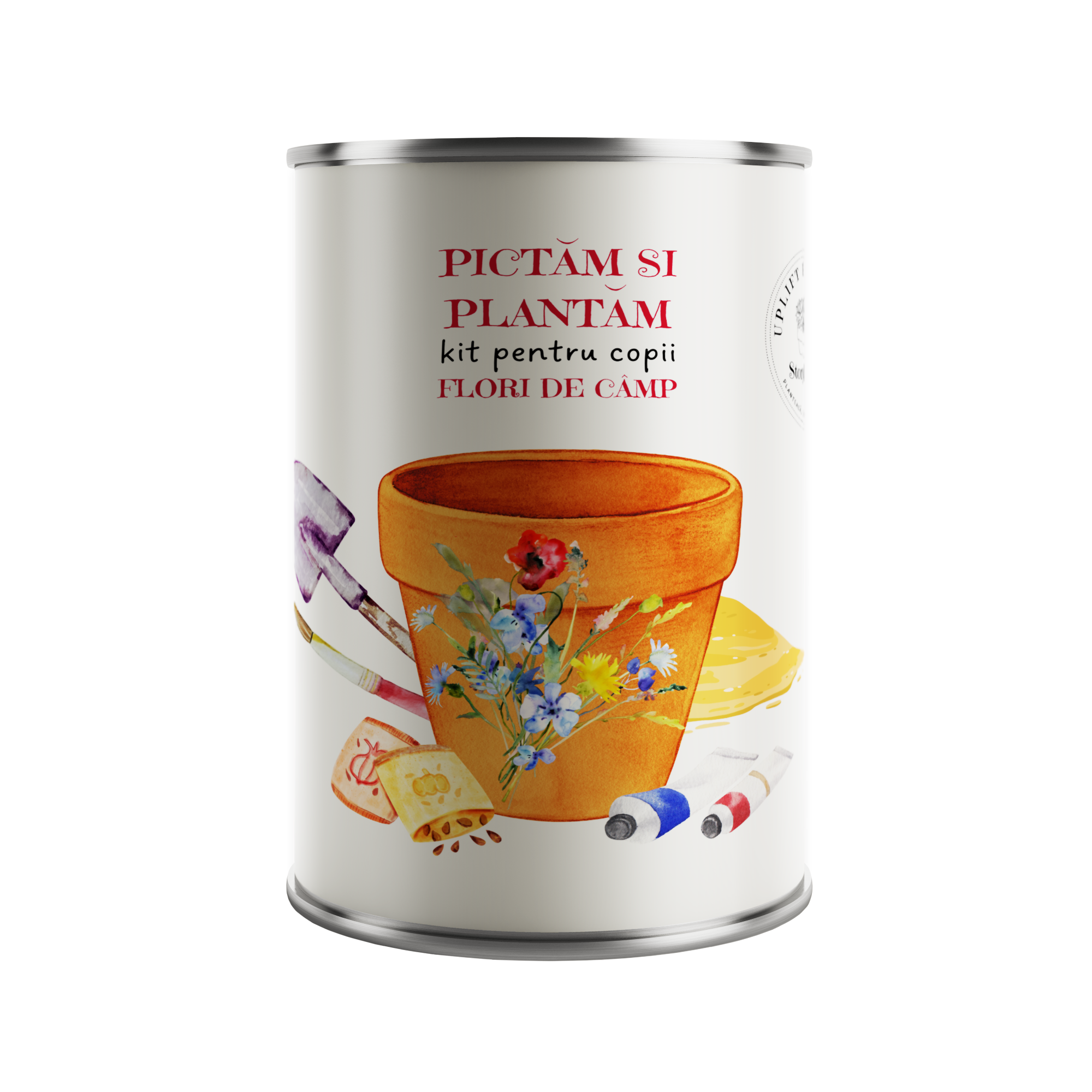 Kit educativ pentru copii, Pictam si Plantam Flori de Camp - eMAG.ro