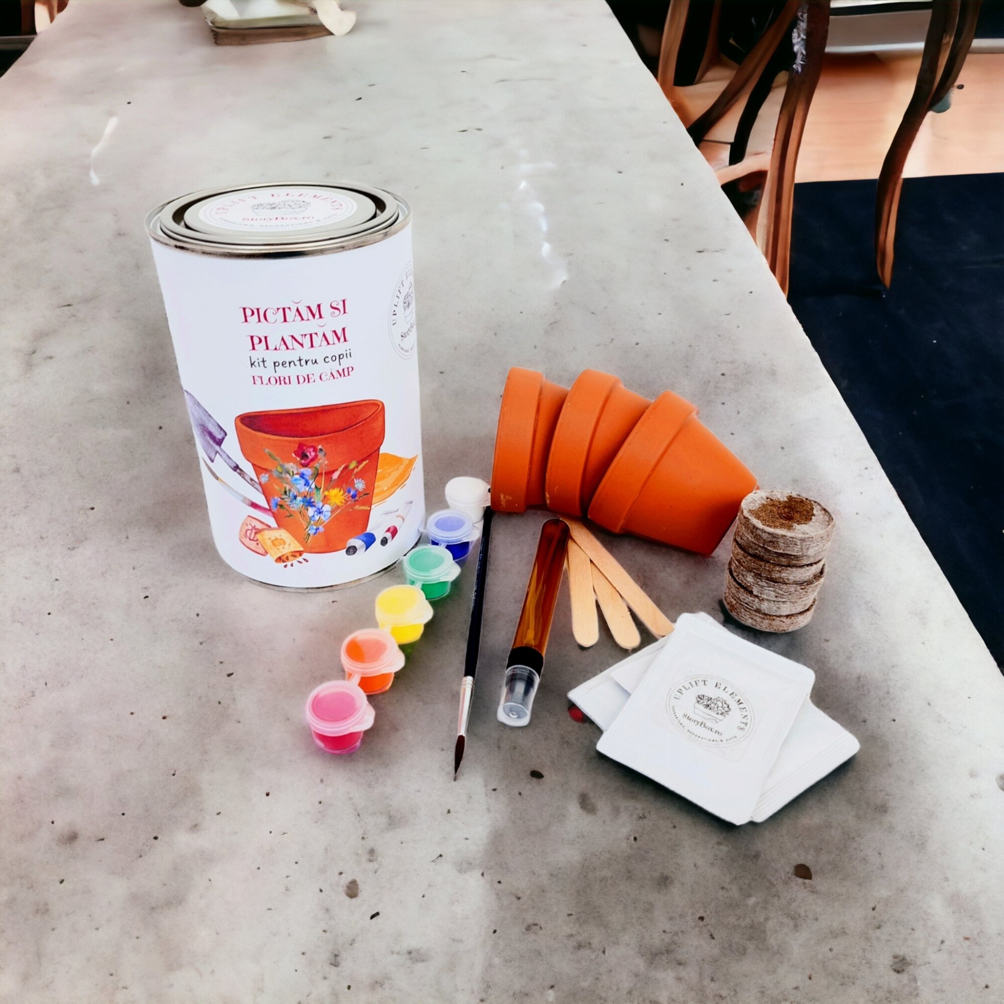 Kit educativ pentru copii, Pictam si Plantam Flori de Camp - eMAG.ro