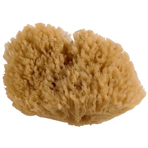 Pensula, Burete, Purdy 4`nat-sea-sponges - eMAG.ro