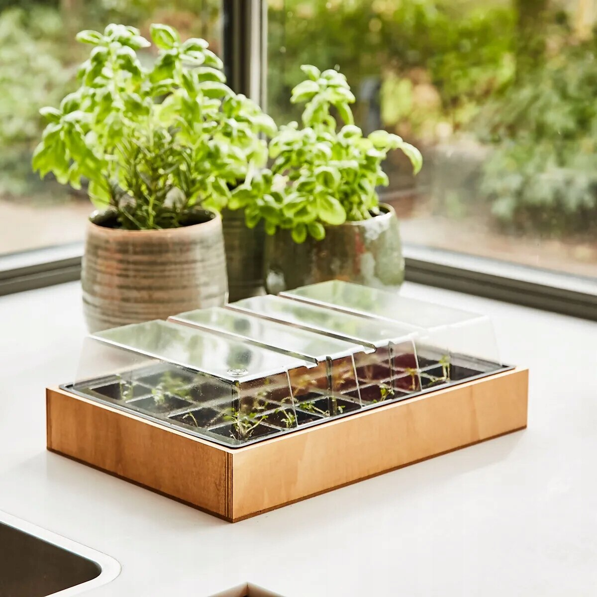 Mini sera pentru tava de inmultire, 24 ghivece - eMAG.ro