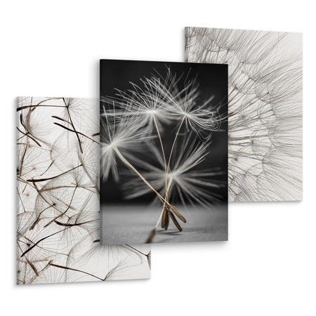 Set 3 Tablouri Decorative Seminte de papadie, Nature 90x40cm: 3 piese ...