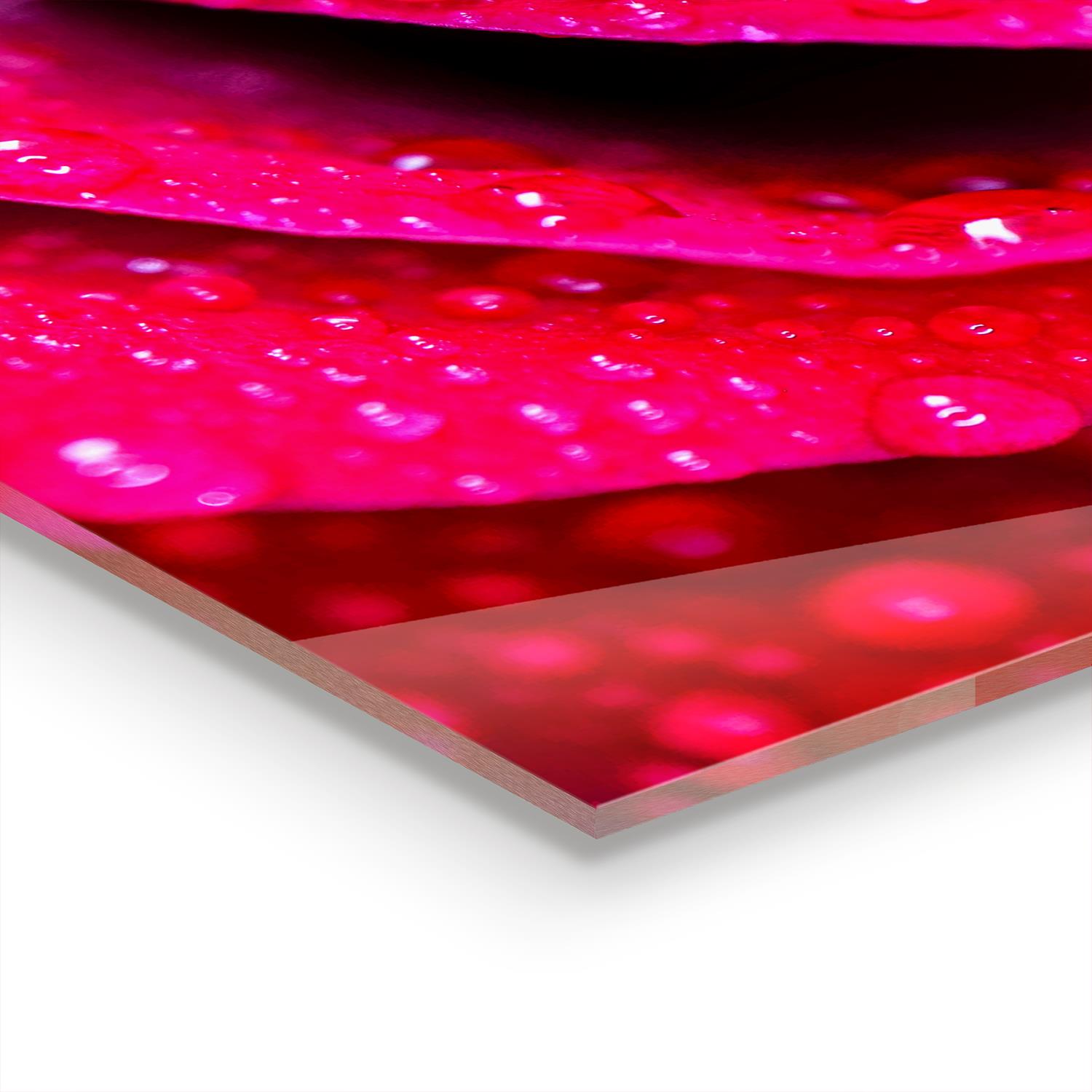 Panou decorativ, Wallfluent, Sticla, Trandafir Simbol Al Iubirii ...