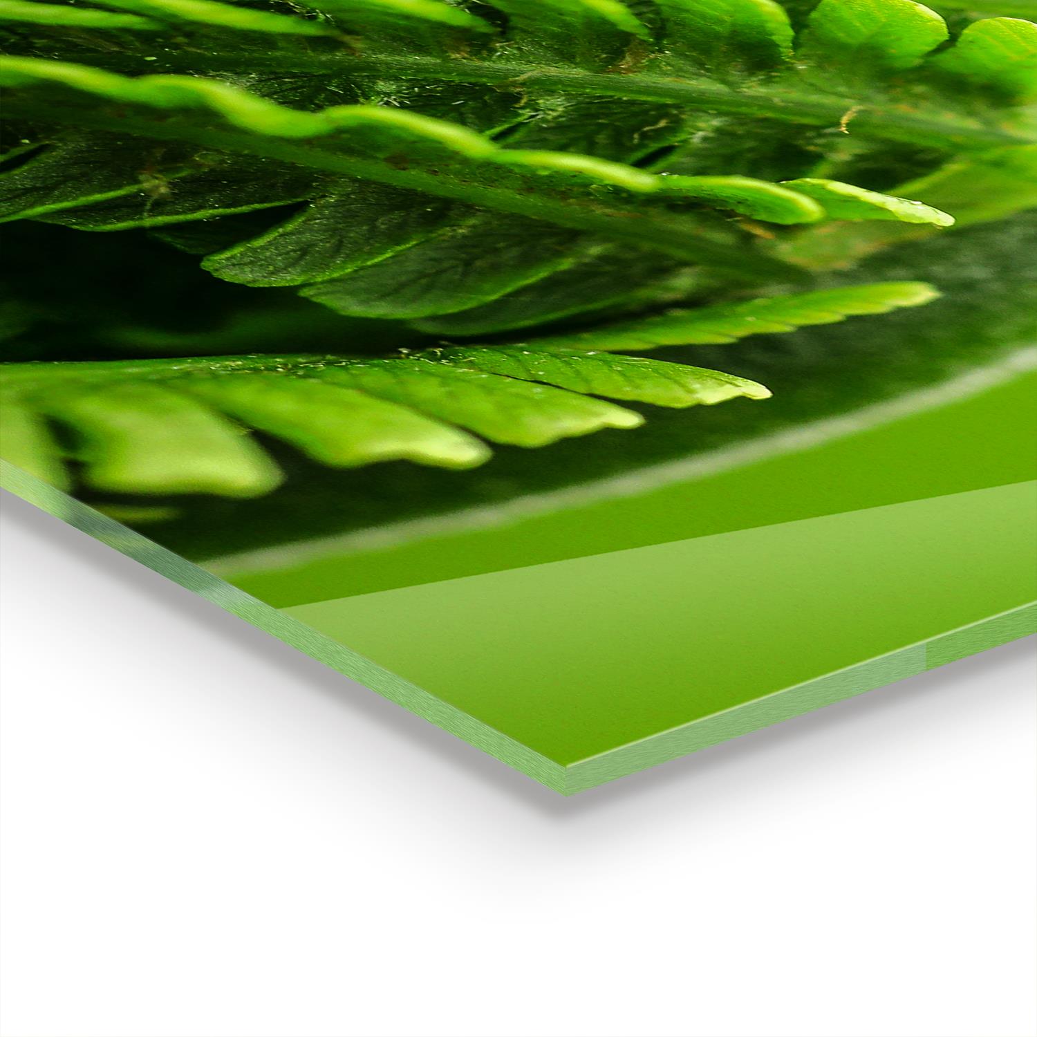 Panou decorativ, Wallfluent, Sticla, Frunza De Feriga Verde, Multicolor ...