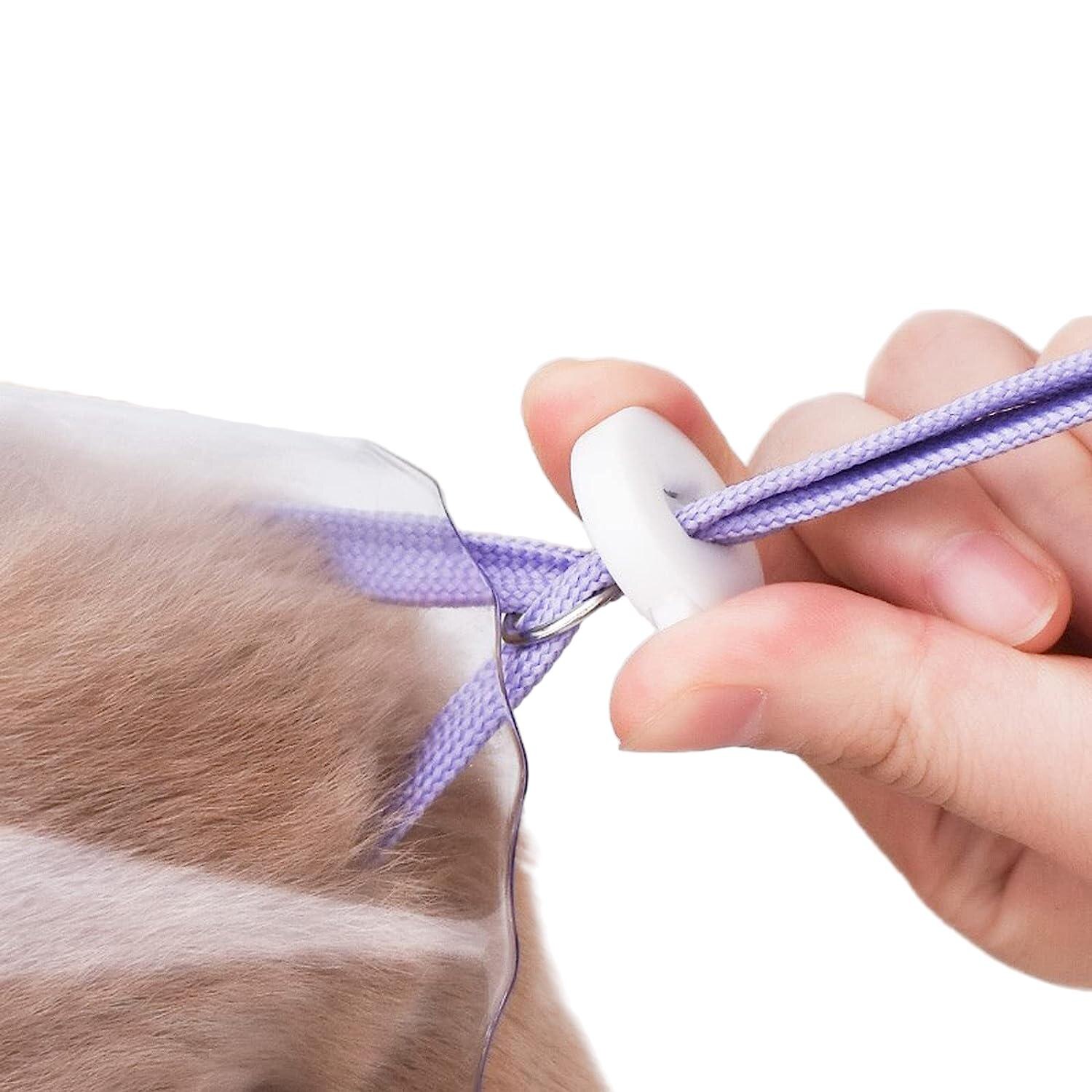 Botnita pentru pisica, Transparent\Mov - eMAG.ro