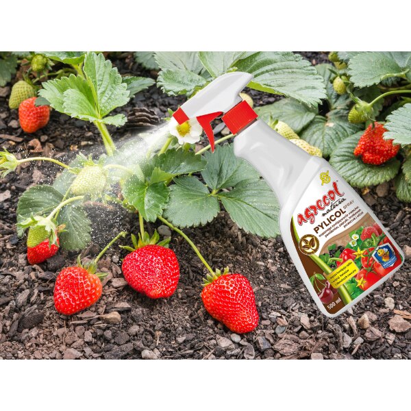 Solutie Polenizatoare, Agrecol, Spray Biostimulator, 500ml, Pylicol, Pentru Rosii/Ardei, Pentru ...