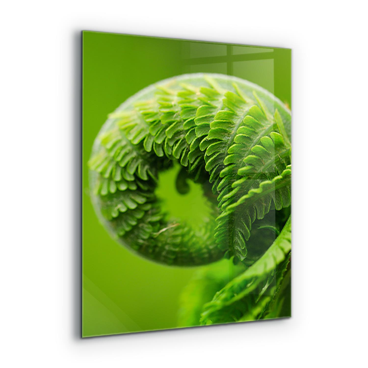 Panou decorativ, Wallfluent, Sticla, Frunza De Feriga Verde, Multicolor ...