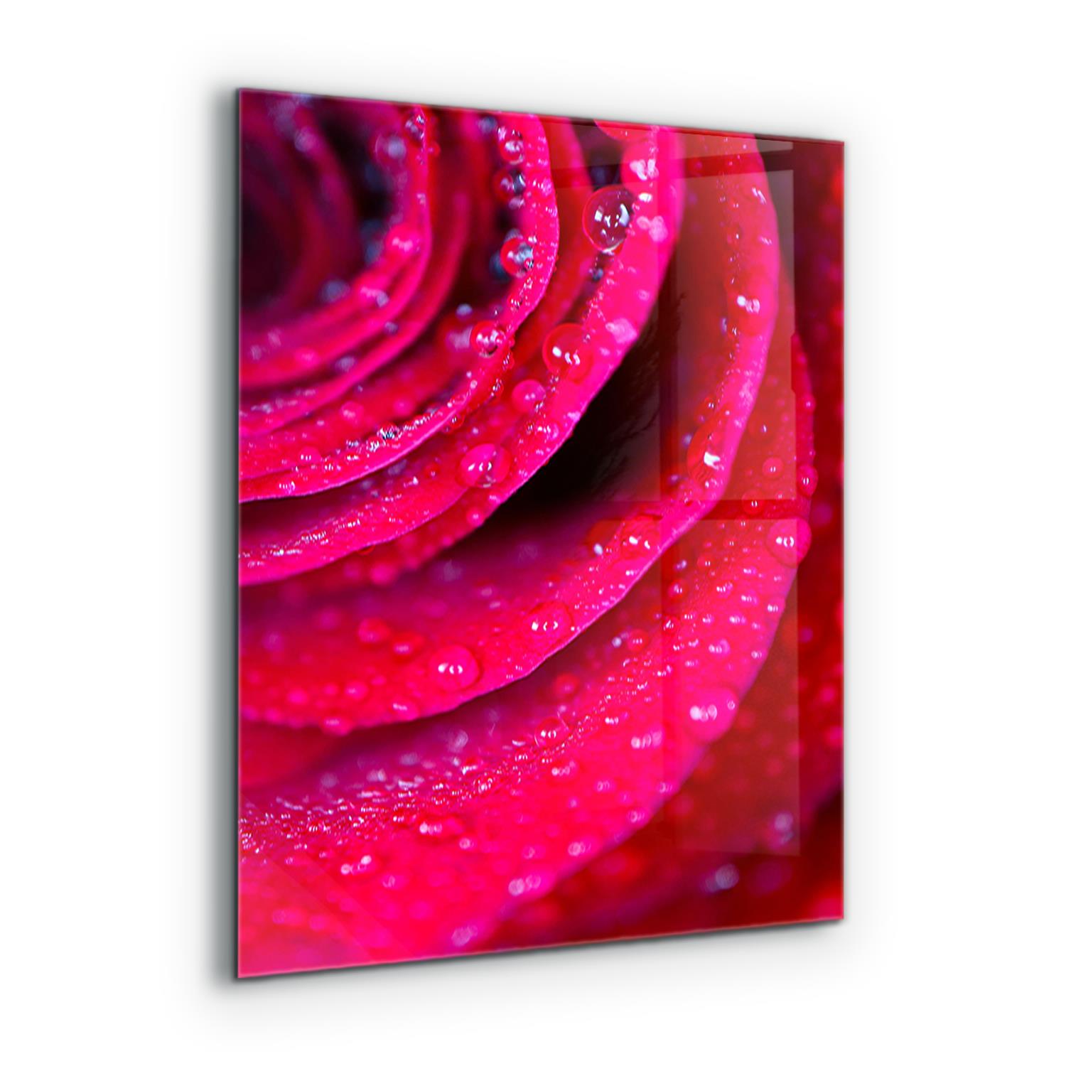 Panou decorativ, Wallfluent, Sticla, Trandafir Simbol Al Iubirii ...