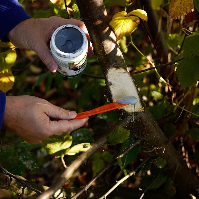 Mastic pentru cicatrizare, vindecare si altoire pomi si plante HUNTER ...