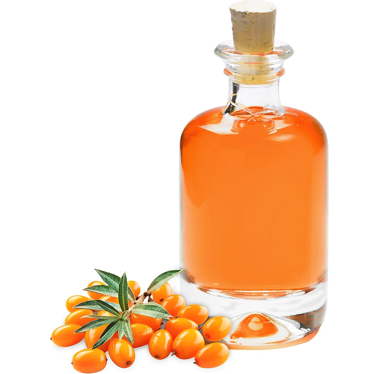 Ulei de Catina (Hippophae rhamnoides) presat la rece, pentru uz intern ...