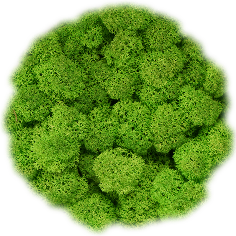 Скандинавски мъх GRASS GREEN LIGHT, 0.5 kg - eMAG.bg