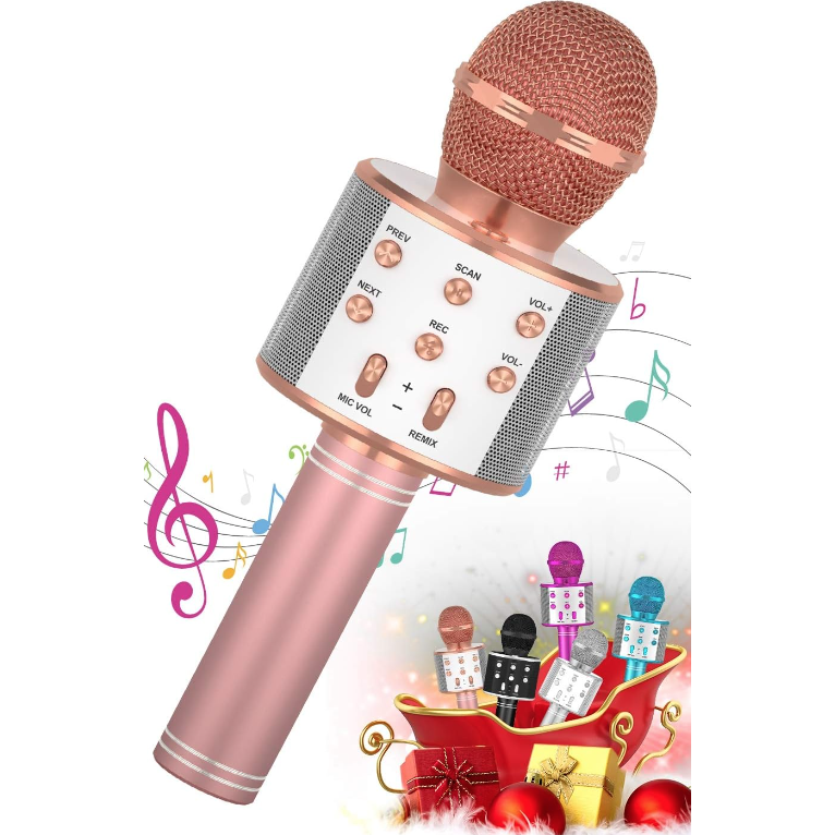 Microfon Wireless Kararoke WS858, functie Bluetooth Card Sd putere 5W ...