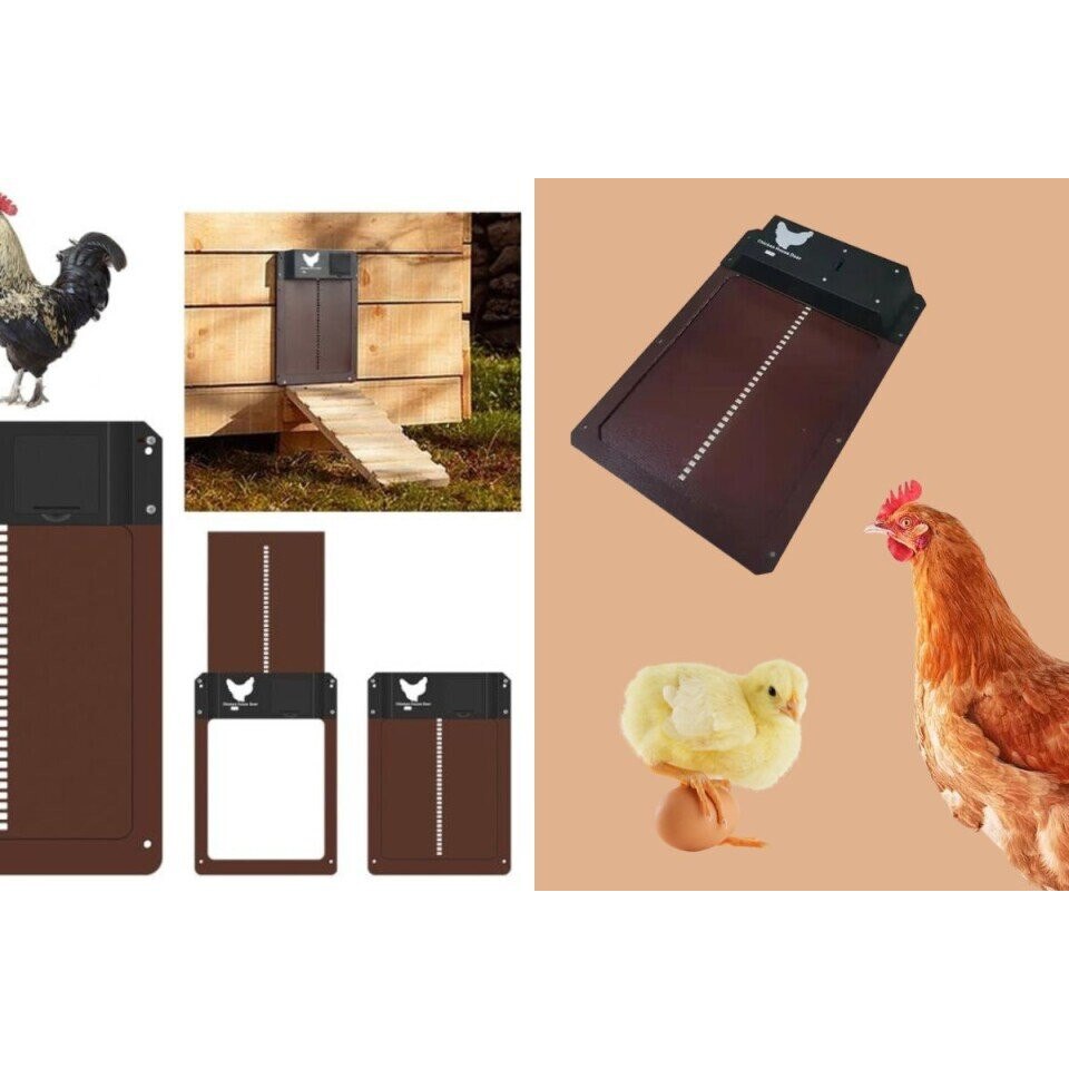 Usa automata pentru cotetul gainilor cu senzor de lumina, inchidere ...