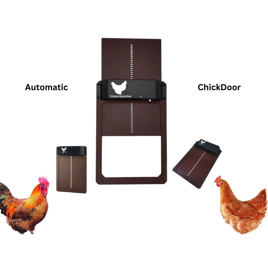 Usa automata pentru cotetul gainilor cu senzor de lumina, inchidere ...