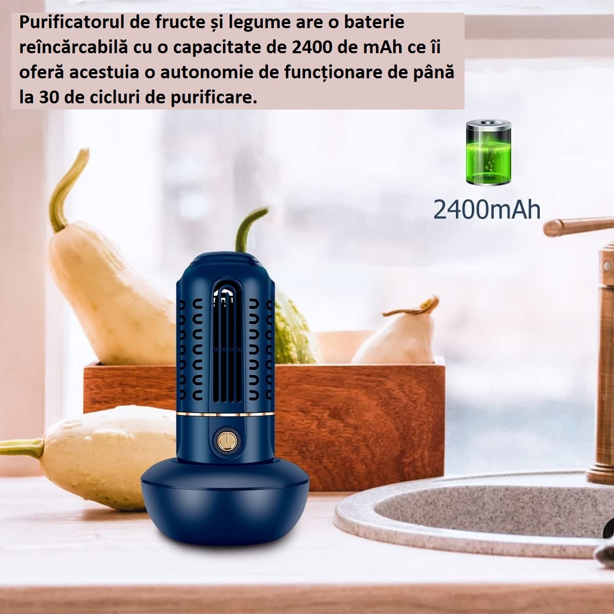 Purificator Pentru Fructe Si Legume, Sterilizeaza si Dezinfecteaza ...