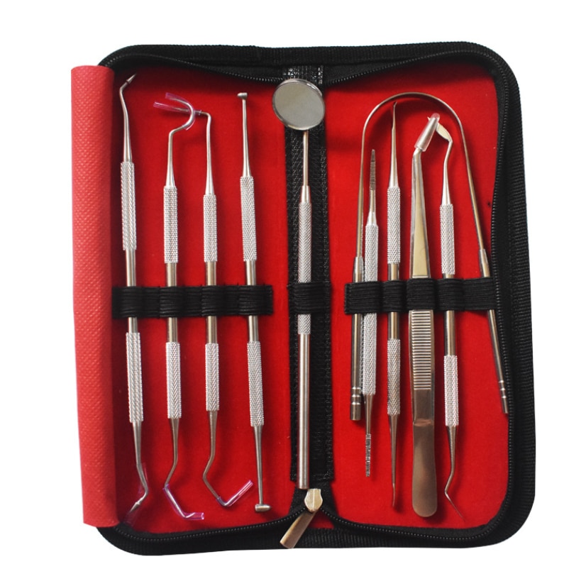 Kit igiena dentara, Inox, 10 piese, Argintiu - eMAG.ro