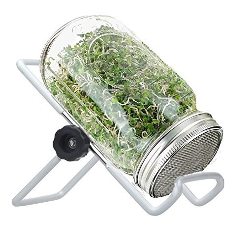 Capac de borcan pentru germinare, Inox - eMAG.ro