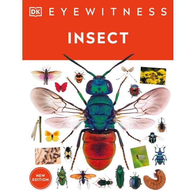 Eyewitness Insect de Dk - eMAG.ro