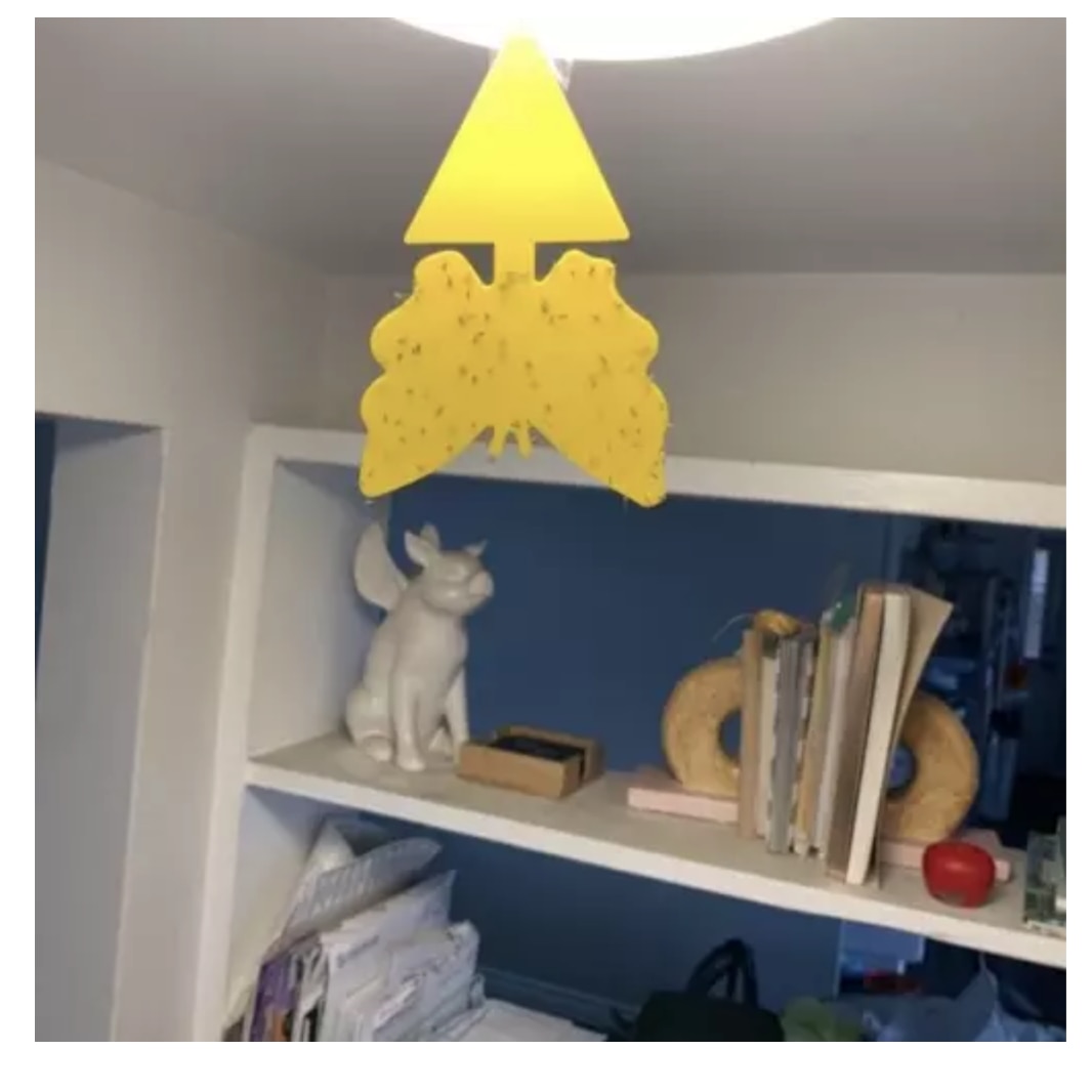 Set 12 capcane cu lipici anti-insecte, impotriva mustelor albe, tantari ...