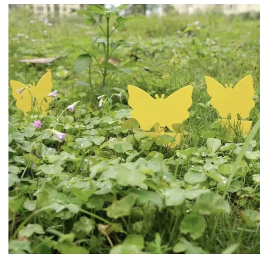 Set 12 capcane cu lipici anti-insecte, impotriva mustelor albe, tantari ...