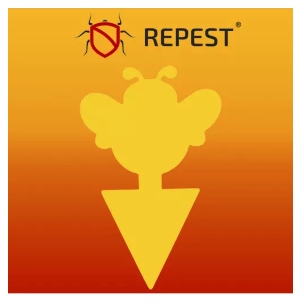 Set 12 capcane cu lipici anti-insecte, impotriva mustelor albe, tantari ...