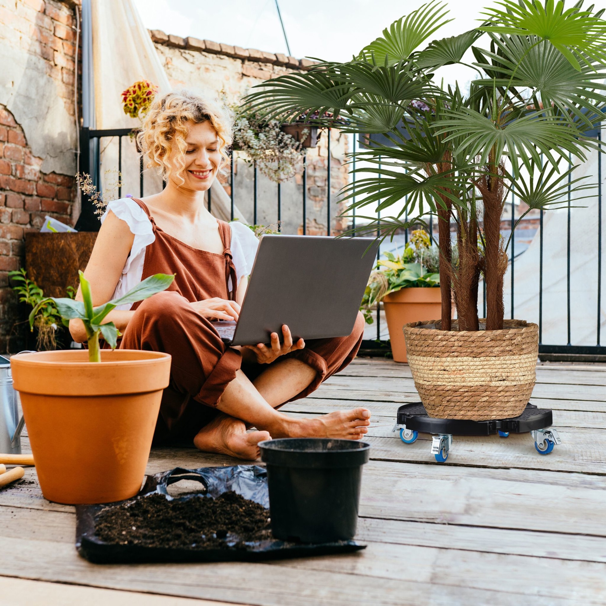Suport cu role pentru ghivece si plante, cu 4 roti, 10,5 x 40 x 40 cm ...