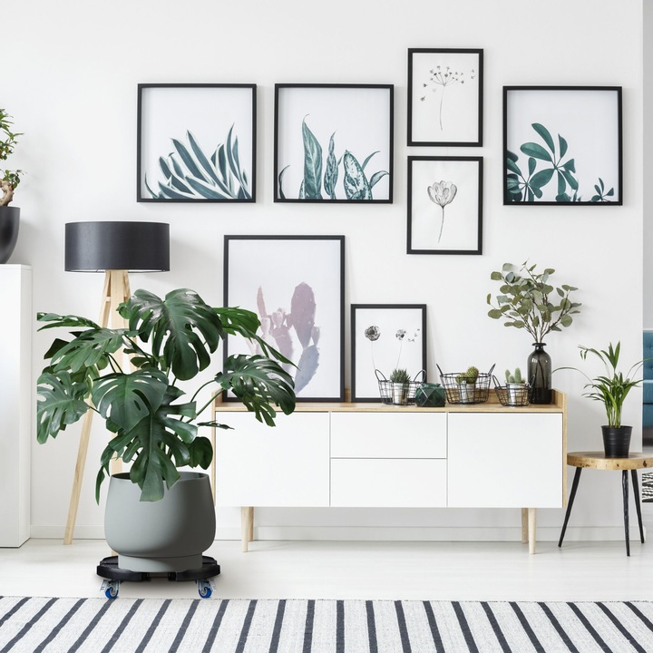 Suport cu role pentru ghivece si plante, cu 4 roti, 10,5 x 40 x 40 cm ...