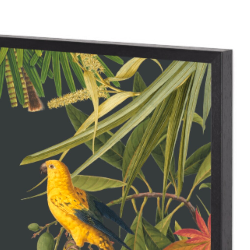 Set 3 Tablouri Vintage Tiger, A2, Cu Rama Din Lemn, Neagra - eMAG.ro