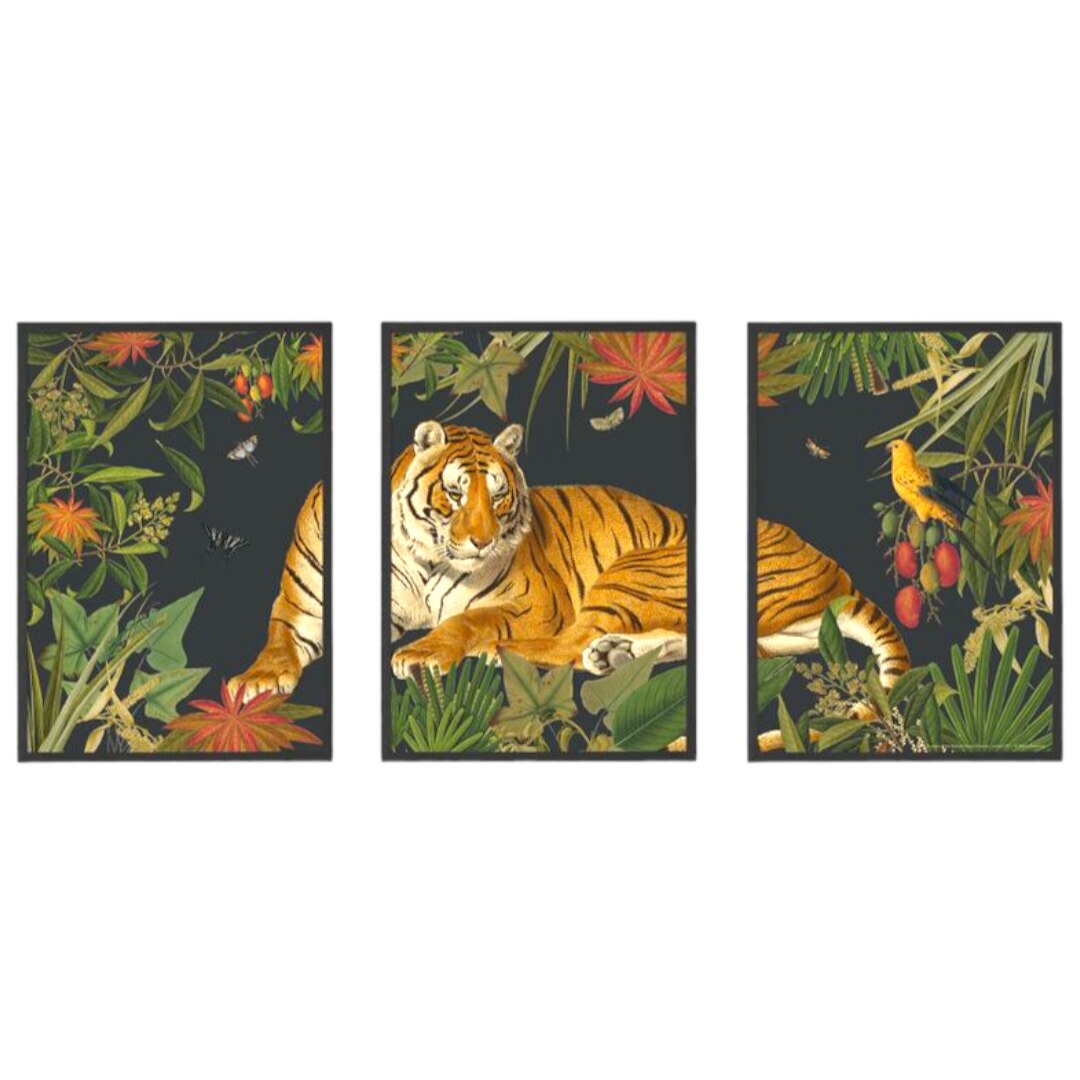 Set 3 Tablouri Vintage Tiger, A2, Cu Rama Din Lemn, Neagra - eMAG.ro