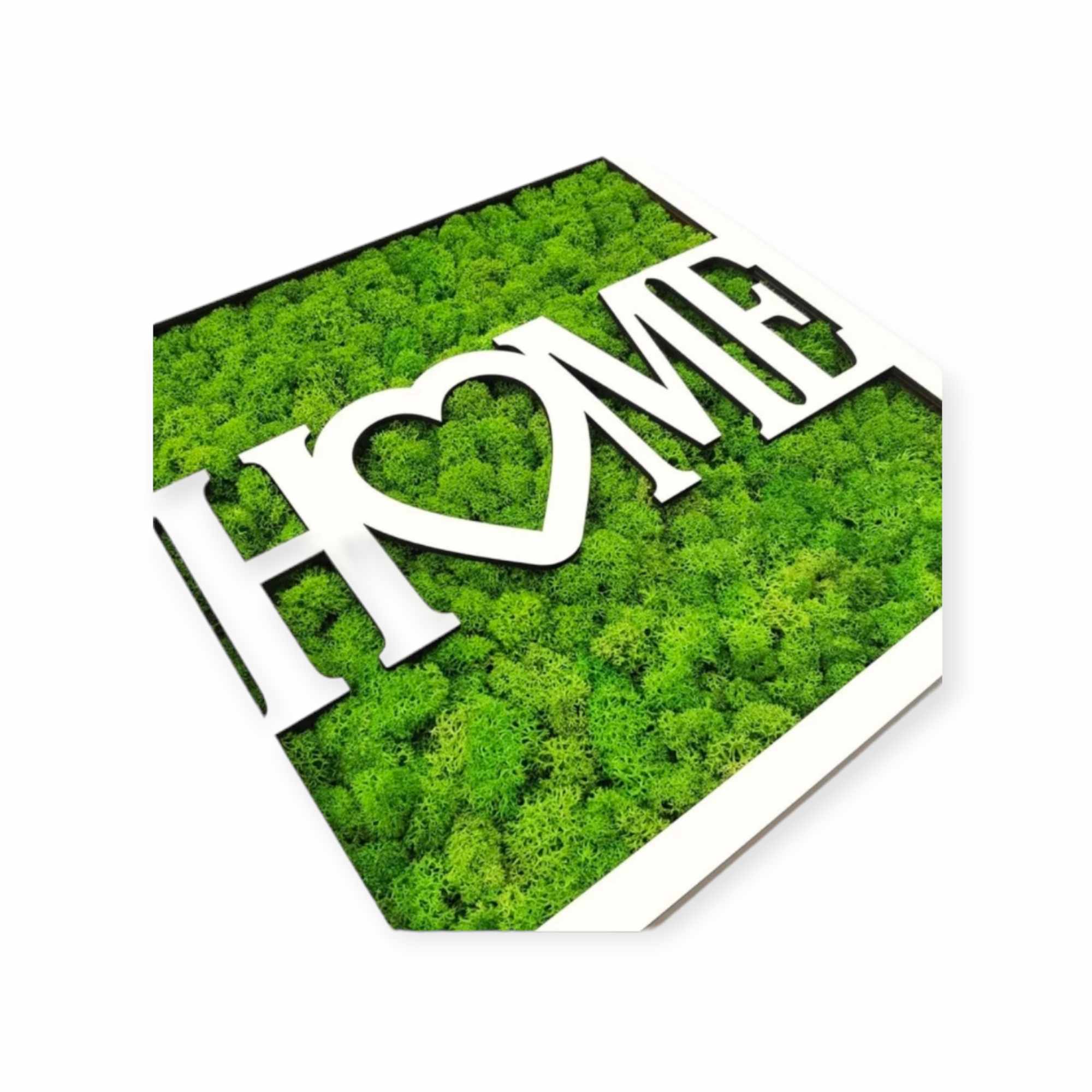 Rama alba cu licheni stabilizati Home, 40x40cm, Crioflora - eMAG.ro