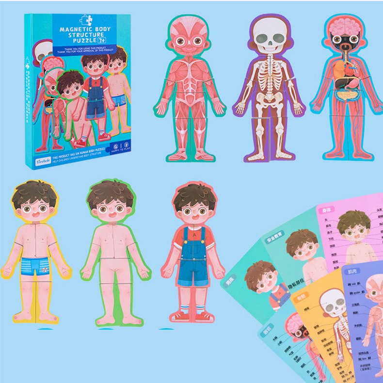 Puzzle educativ magnetic, Anatomia corpului uman, model cu baiat, 6 ...