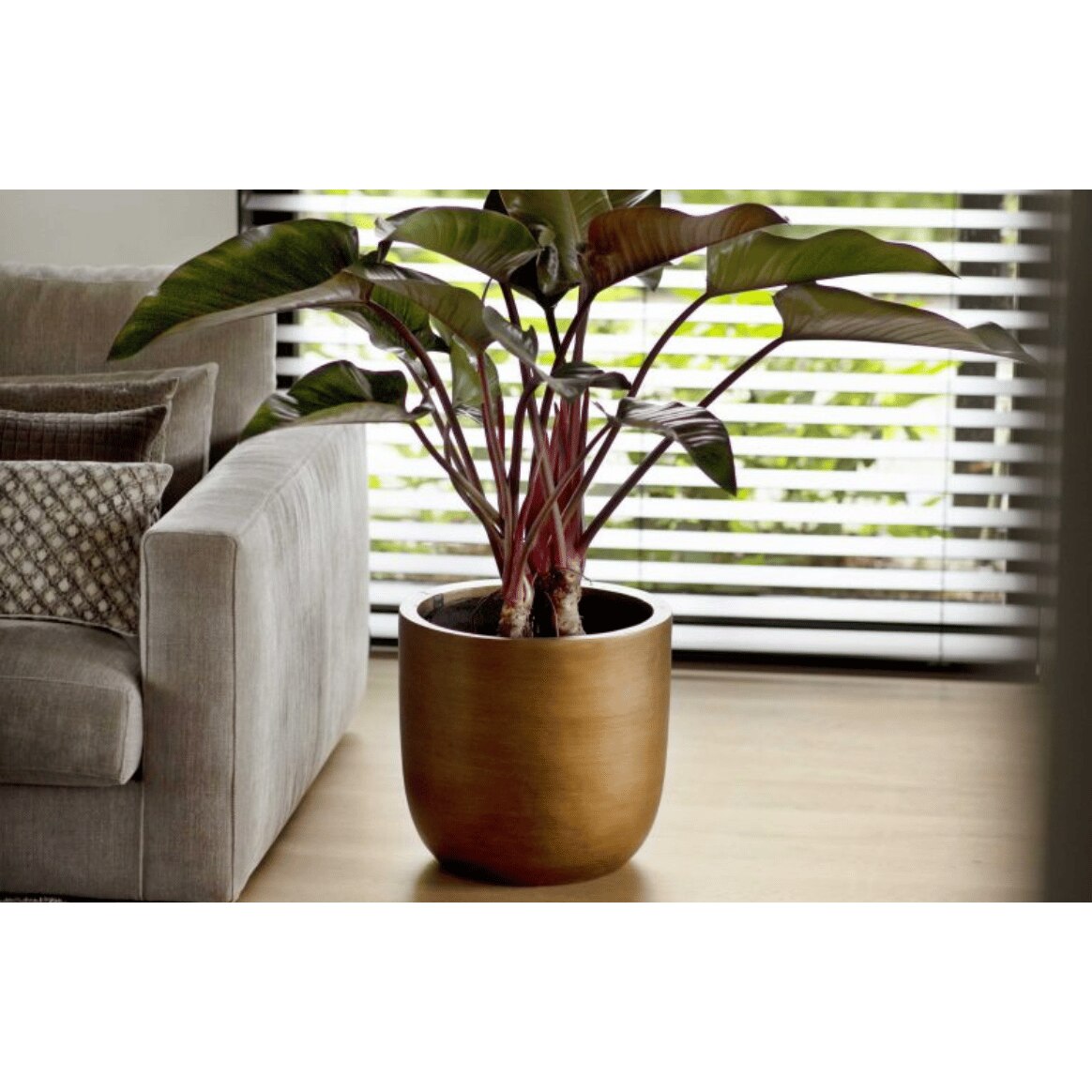 Ghiveci Capi, in forma de ou 34x34 cm, Retro Gold - eMAG.ro