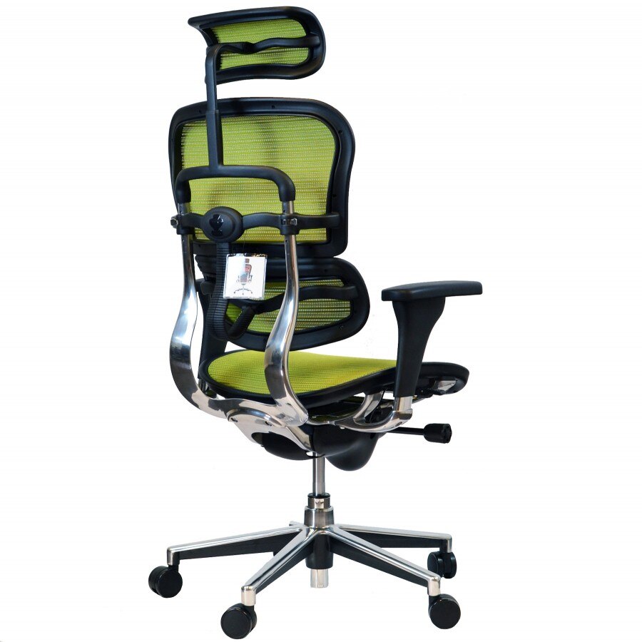 Scaun Ergonomic Ergohuman V1 Classic Plus, KMD Green Mesh - eMAG.ro