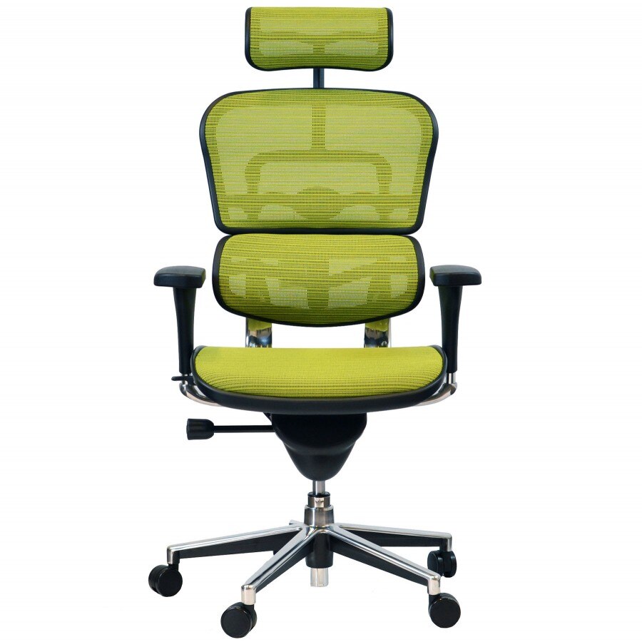 Scaun Ergonomic Ergohuman V1 Classic Plus, KMD Green Mesh - eMAG.ro