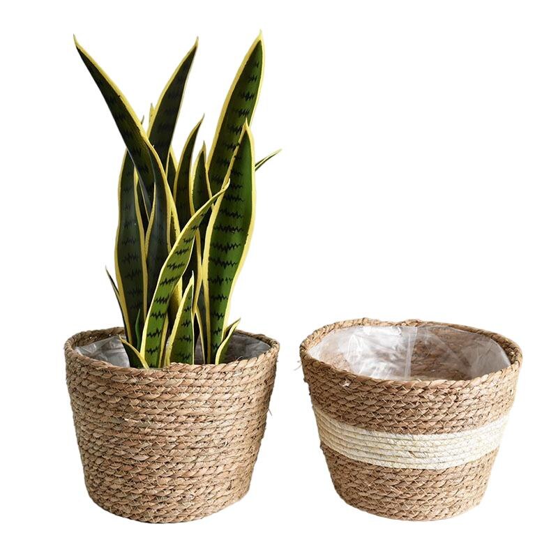 Ghiveci pentru interior si exterior, natural, 2 pachete - eMAG.ro