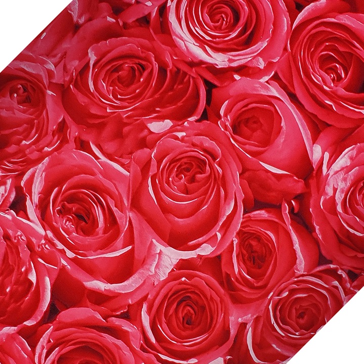 Sticker autocolant pentru mobila trandafiri rosii, 45 x 200 cm ...