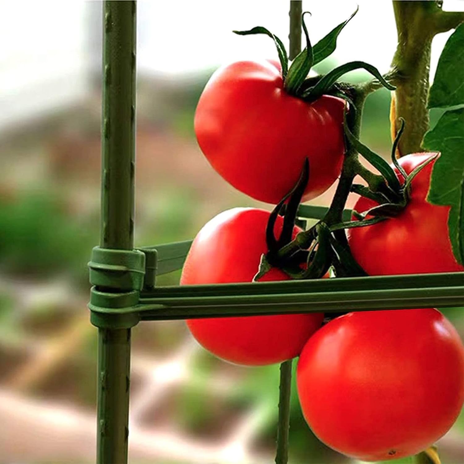 Set 30 suporturi pentru tija de spalier, Plastic, Verde - eMAG.ro