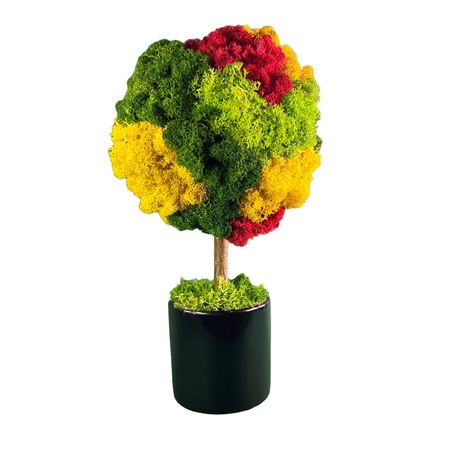 Copacel negru colorat licheni stabilizati 25cm - eMAG.ro