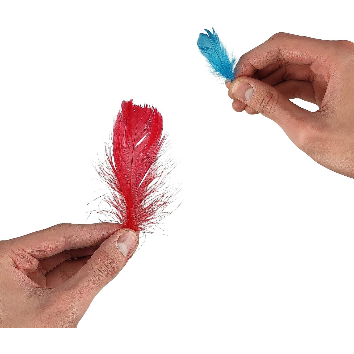 Pene decorative, Netuno, Multicolor, 10 g - eMAG.ro