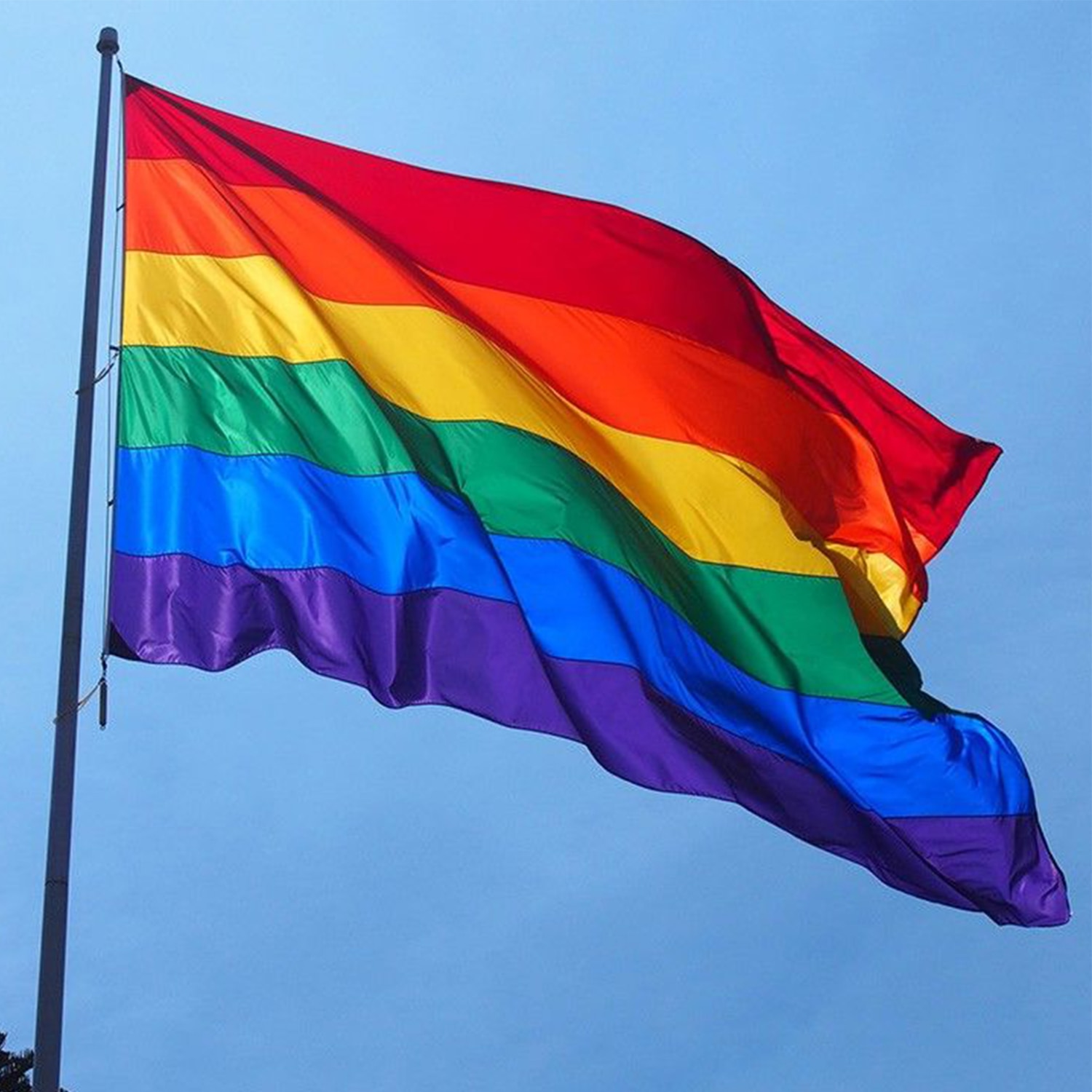 Steag LGBT Pride, 90cm*150cm, Poliester - eMAG.ro