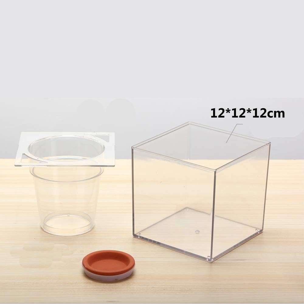 Ghiveci, Sunmostar, Plastic, 12 x 12 x 12 cm, Transparent - eMAG.ro