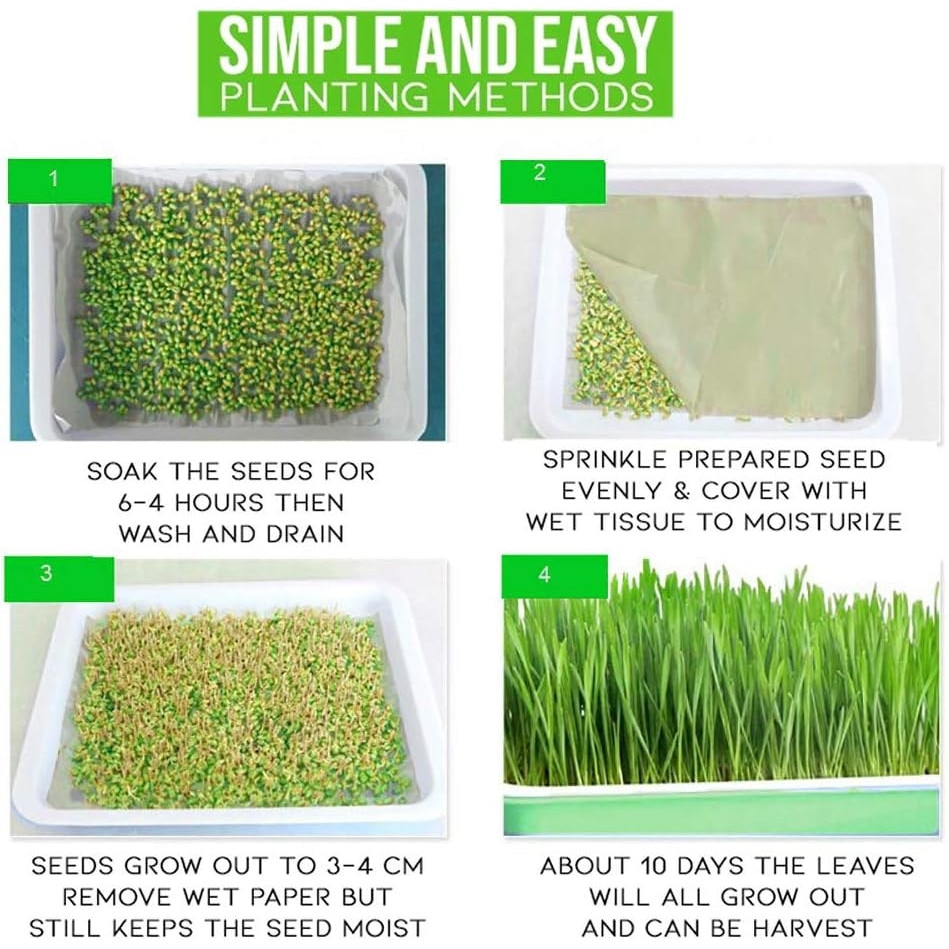 Tava de germinare pentru seminte, Sunmostar, Verde - eMAG.ro