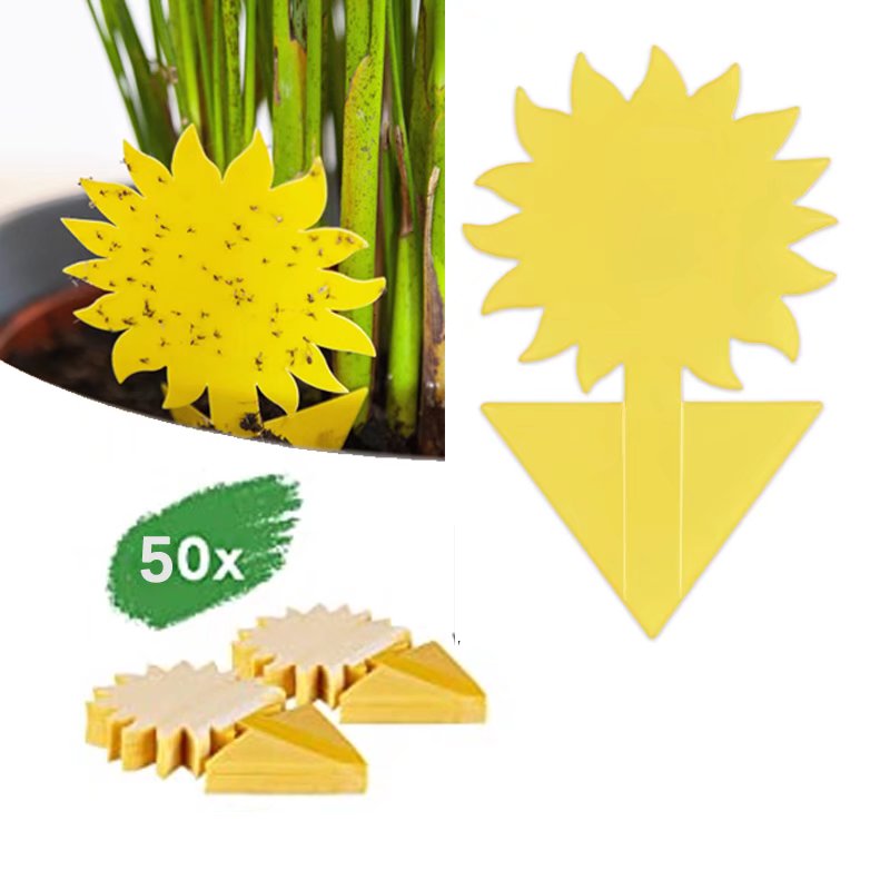 Set 50 capcane insecte, Sunmostar, Galben - eMAG.ro