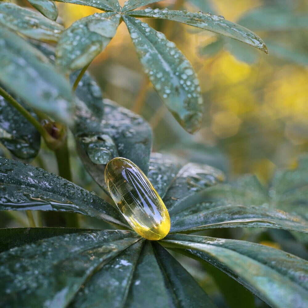 Omega 3 1000 mg + Vitamina E 5 mg – 100 capsule - eMAG.ro