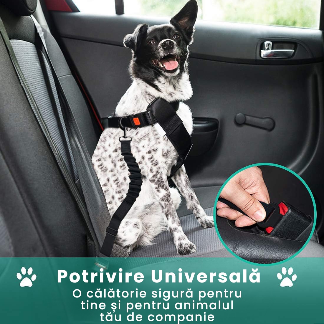 Lesa cu centura de siguranta pentru caini sau pisici, ajustabile si ...
