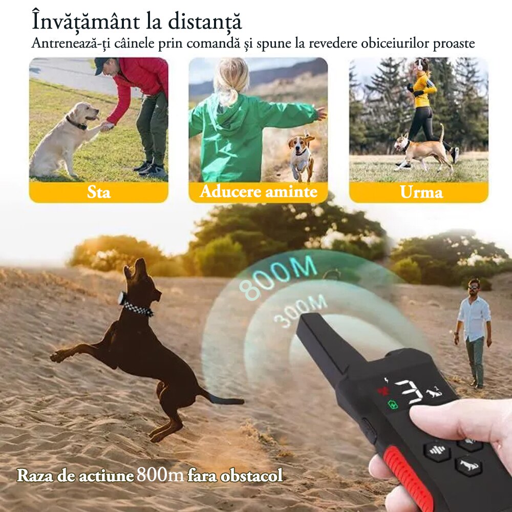 Zgarda Electrica Pentru Dresaj Caini BYONDSELF®, Vibratii si Electrosoc ...