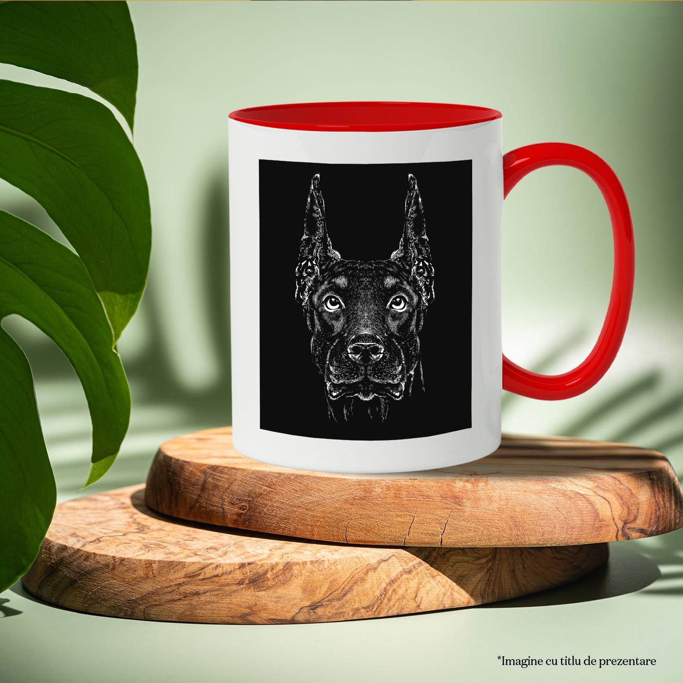 Cana Cu Portret Caine Doberman, Negru, Caine Periculos, Iubitorii De ...