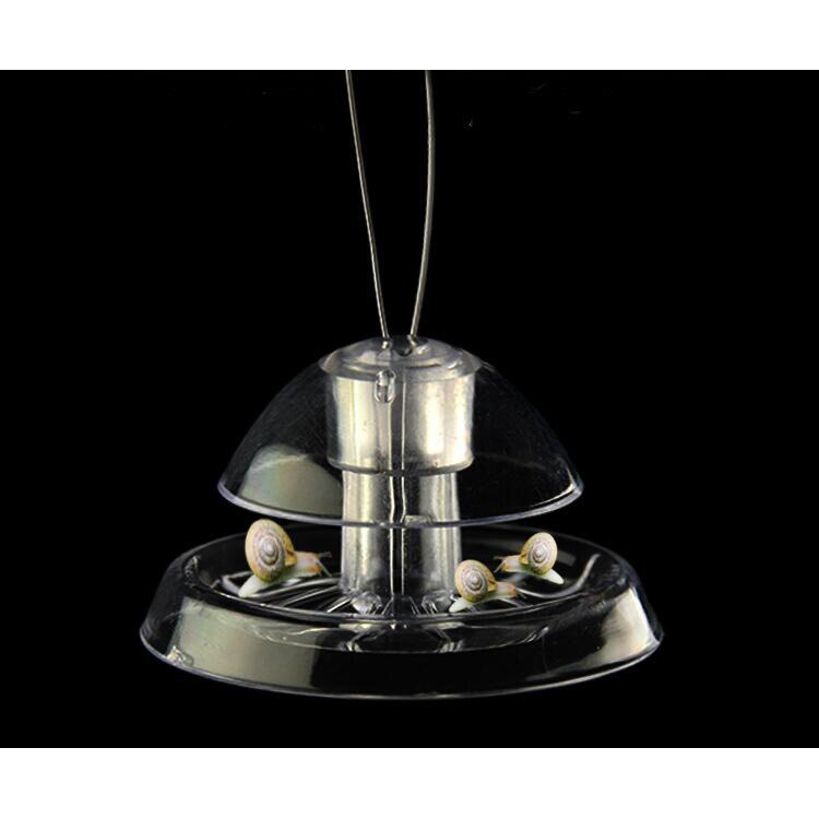 Set 2 capcane pentru melci, Plastic, 6 x 6 x 4 cm, Transparent - eMAG.ro