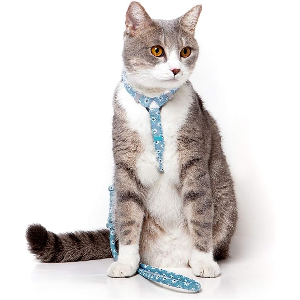 Set ham + lesa pisici, Sunmostar, 145 cm, M, Albastru deschis - eMAG.ro